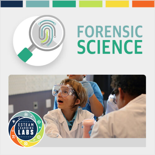 PROGRAMS - ESTEAM Learning Labs